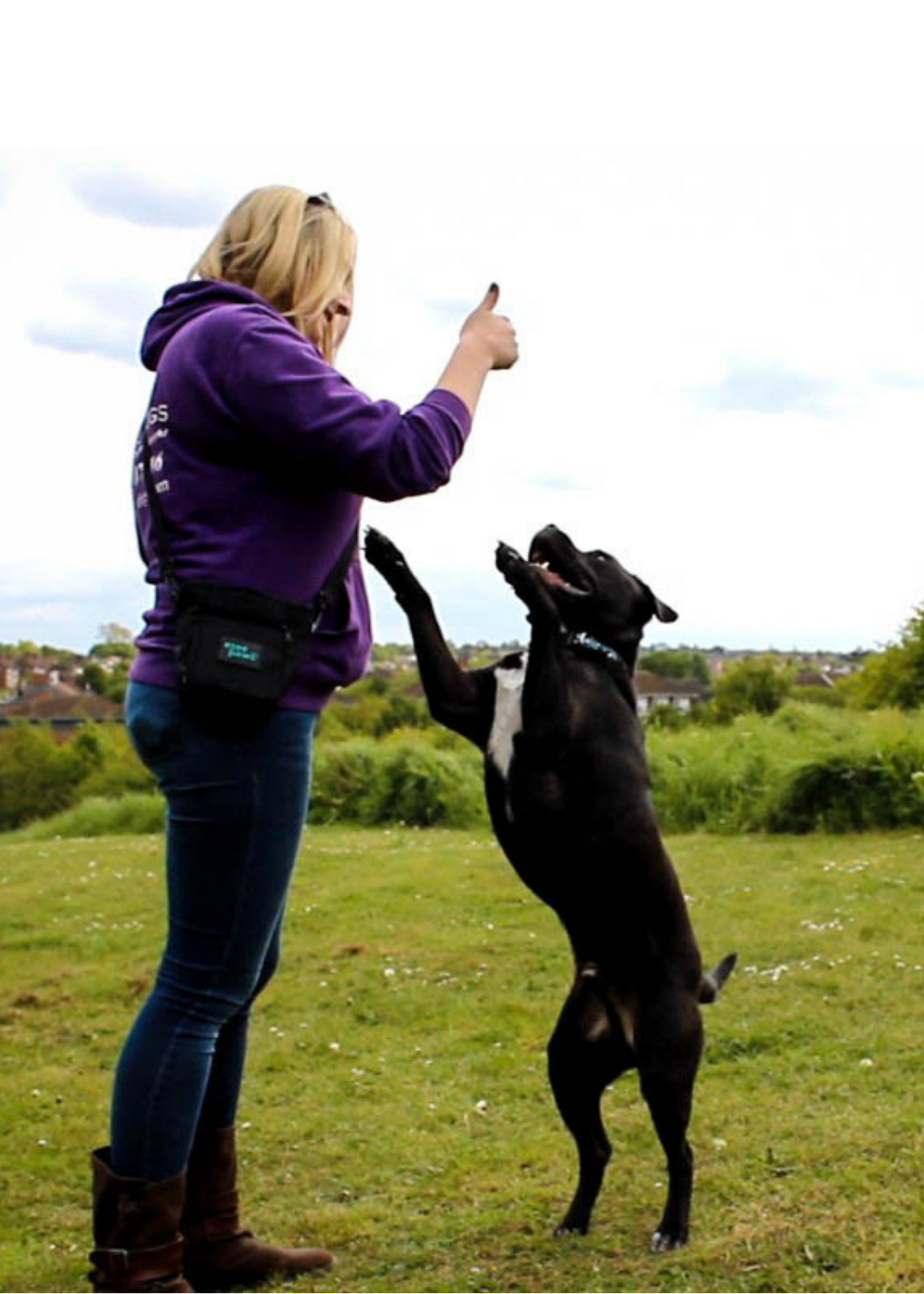 Paws Up Dogs - Trauma informed dog training and dog business coaching